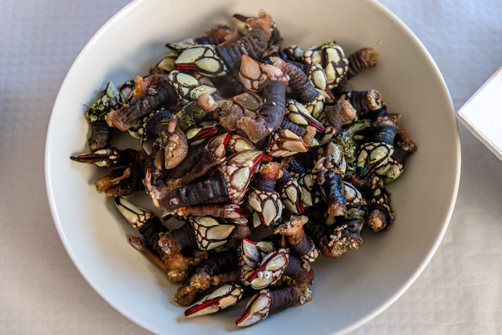 La mejor cocción de los percebes - recetas de pescado al horno ...