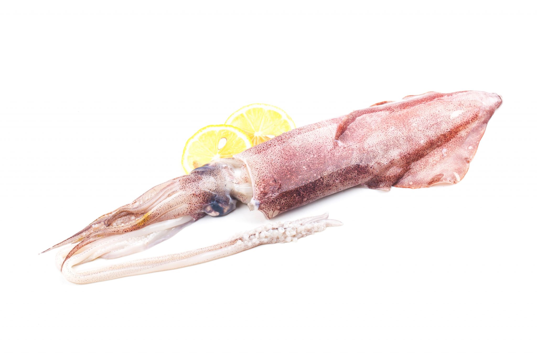 Chipirones rellenos en su tinta - recetas de pescado al horno | recetas ...